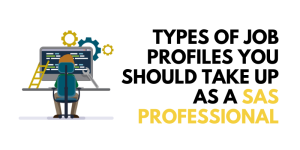 Types of Job Profiles You Should Take Up As a SAS Professional